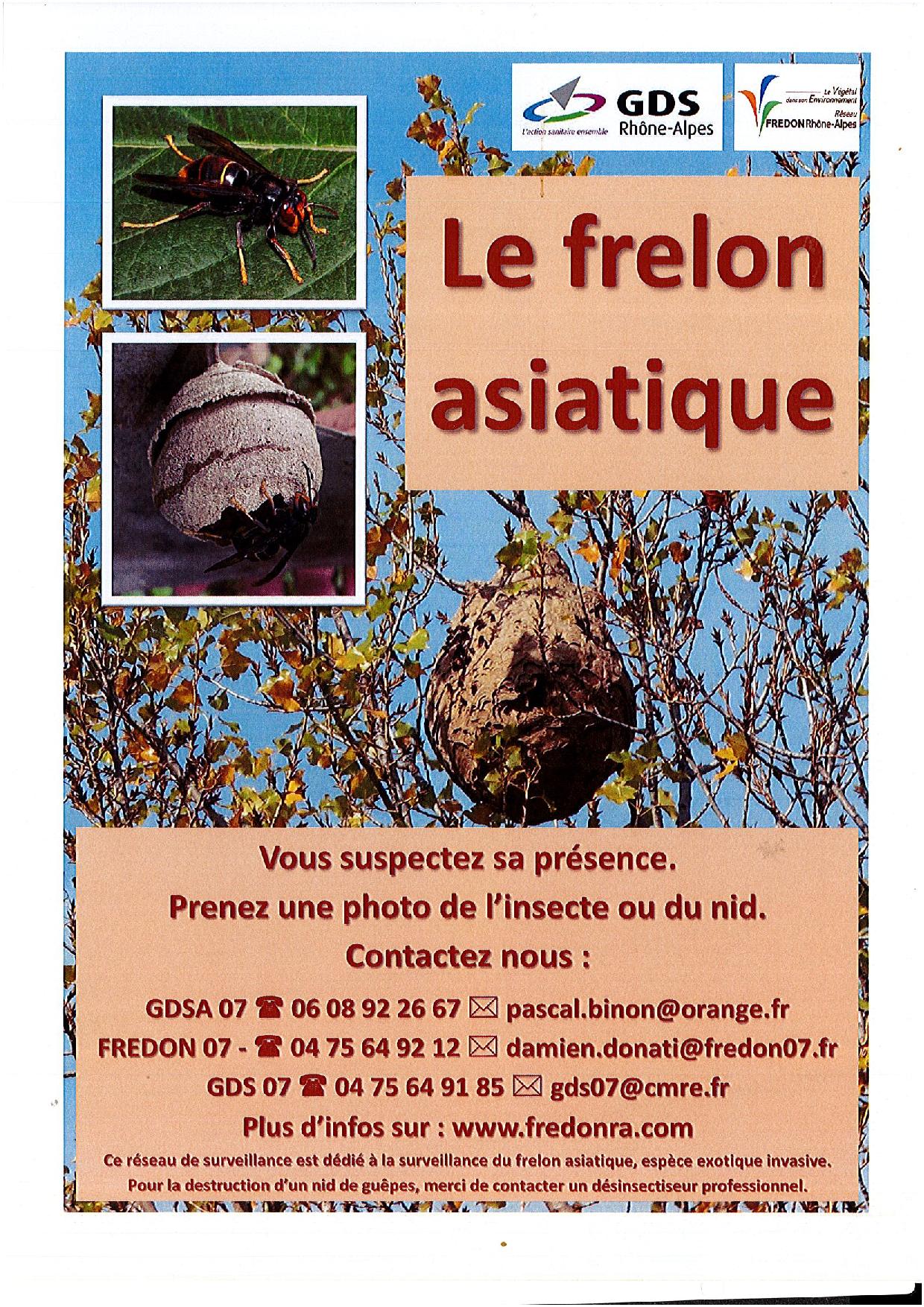 Signalement Frelon Asiatique - Mairie de Labeaume